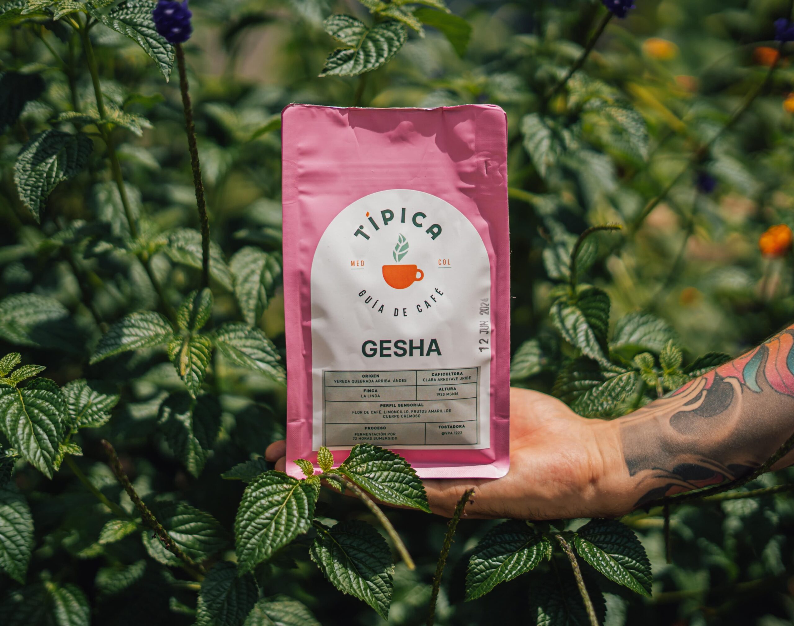 Café Gesha Clara 250Gr - Café Típica